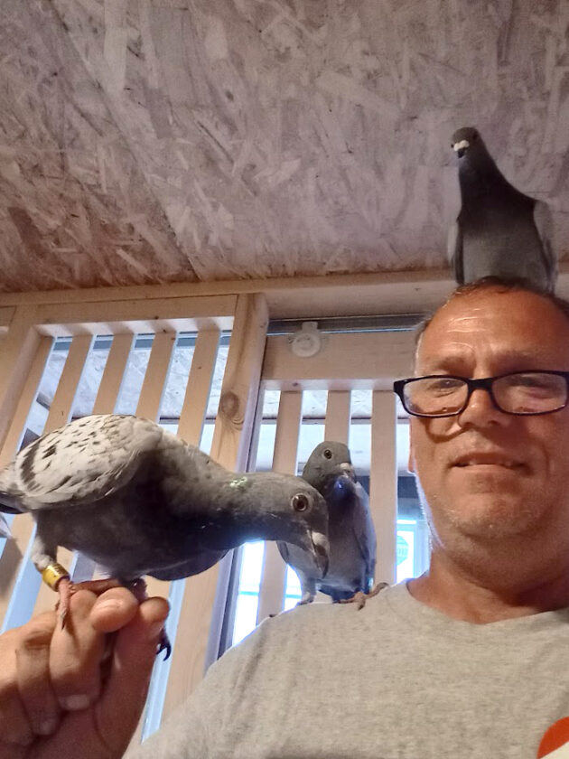 Homing Pigeons for Beginners Program | News, Sports, Jobs - The Review